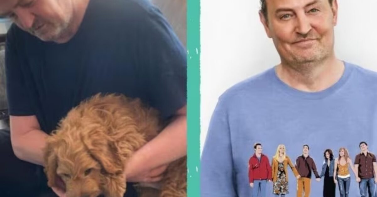 Alfred, il cane di Matthew Perry, dice addio al suo amatissimo padrone ...